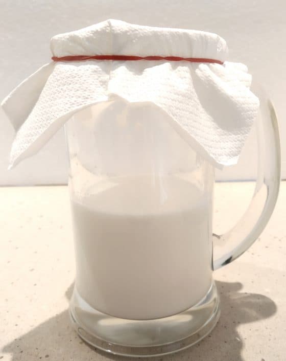 What Is Kefir? [Benefits and Side Effects] - My Fermented Foods